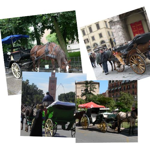 La malédiction de la calèche… – Deedee