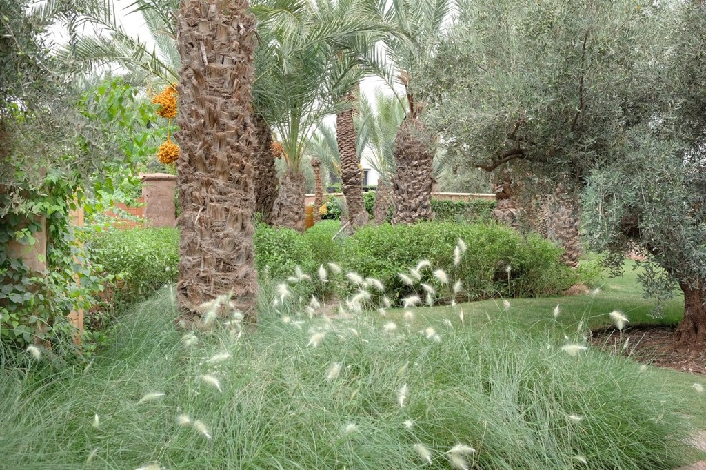 3 jours au Royal Palm à Marrakech – Deedee