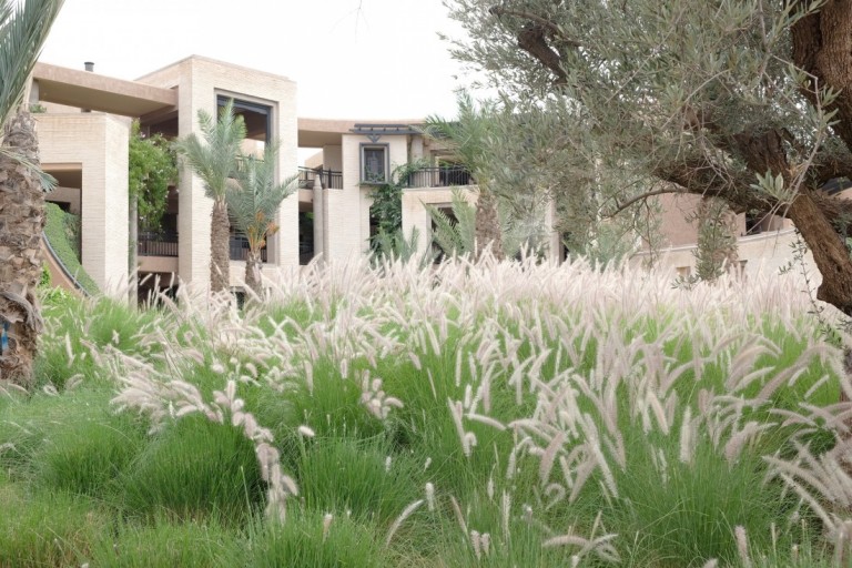 3 jours au Royal Palm à Marrakech – Deedee